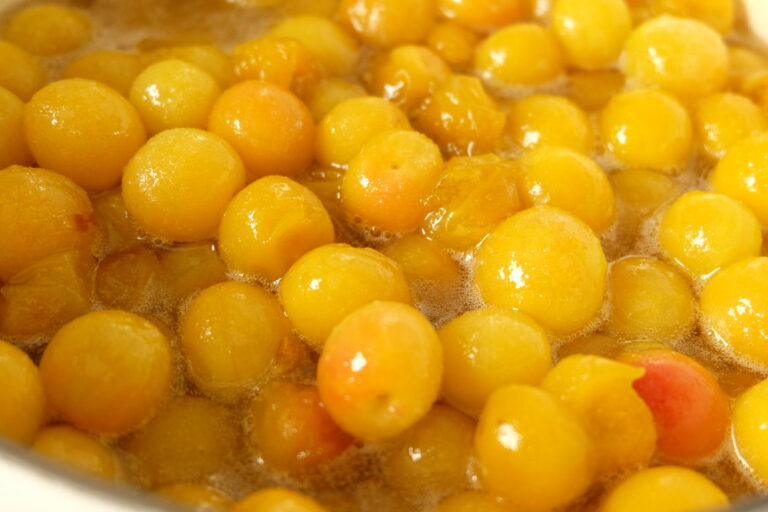 ％post_title% | howatto（ほわっと）徳島のシフォンケーキとビスコッティ=旬の素材の焼き菓子専門店